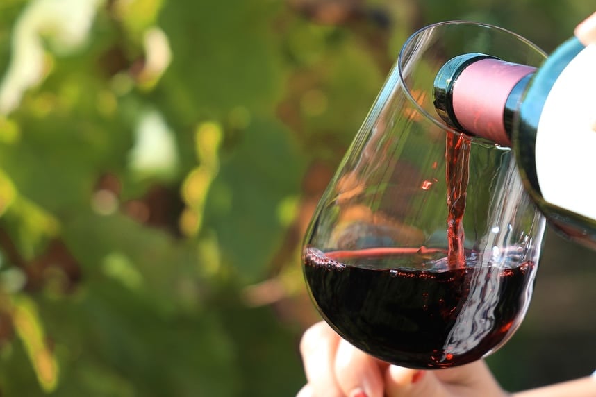 Syrah : caractéristiques et accords | Blog | Giordano Vins